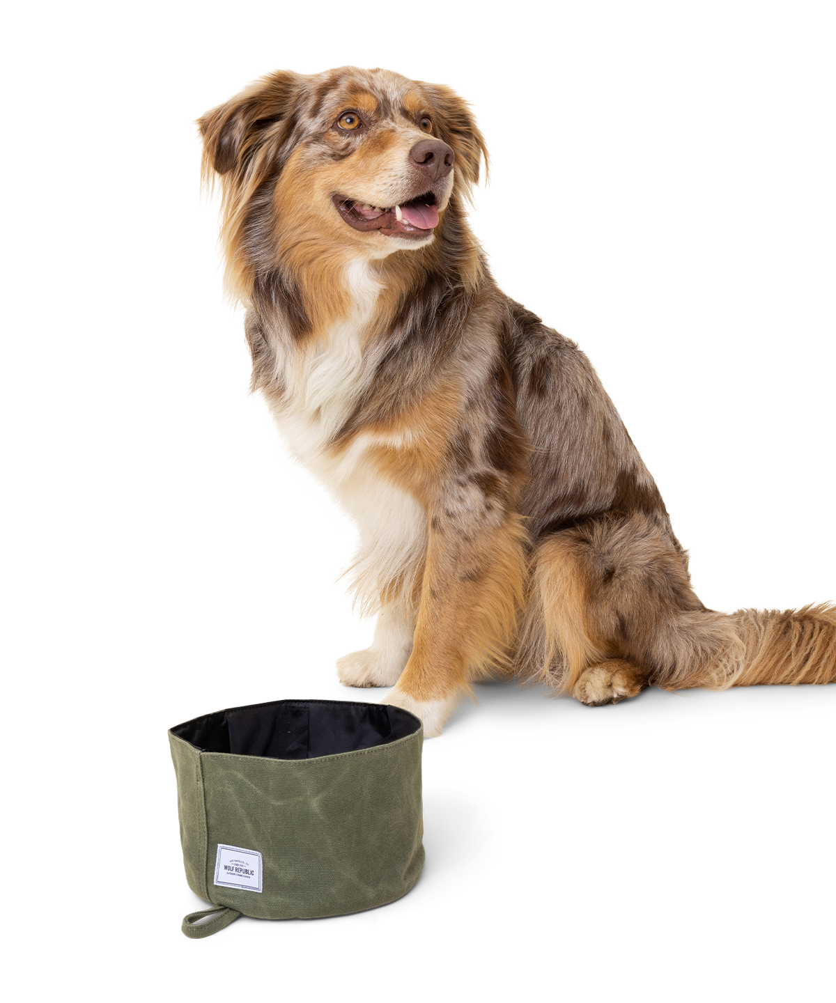 Camp Bowl | Collapsible Dog Bowl for Travel and Hiking - Wolf Republic
