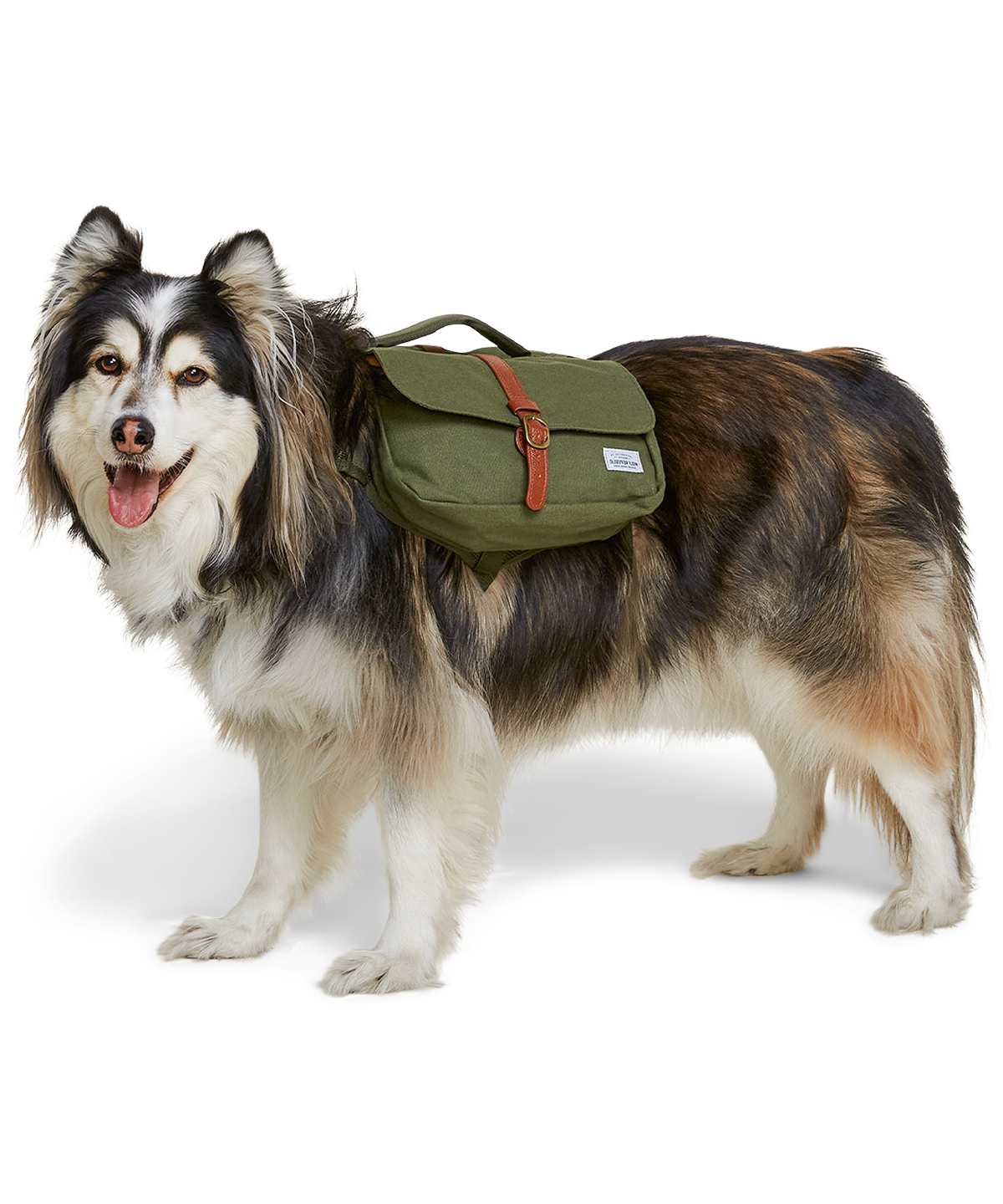 Ranger Pack | Dog Backpack - Wolf Republic