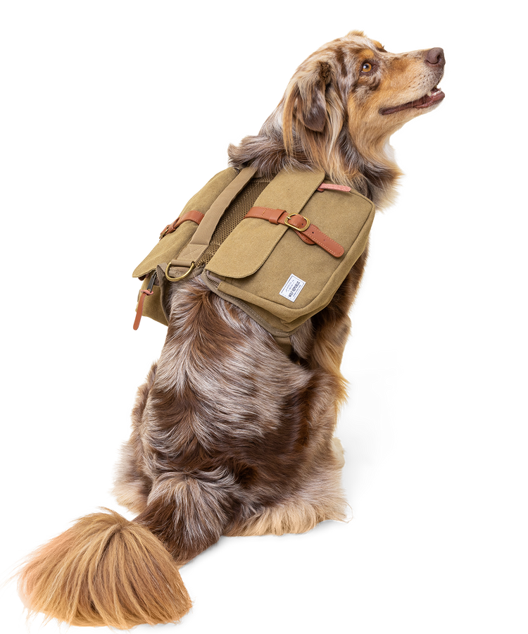Ranger Pack | Dog Backpack - Wolf Republic