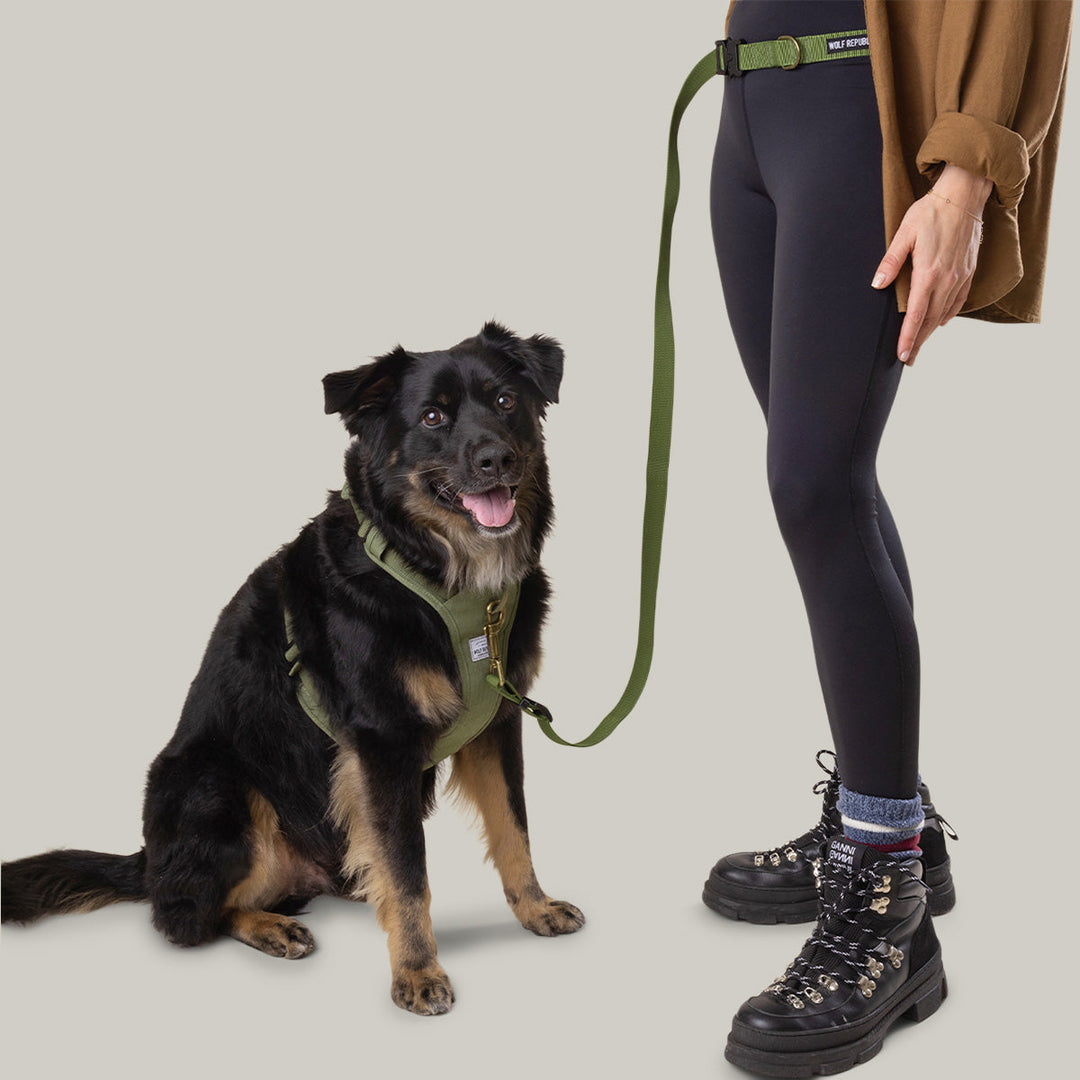 Scout Leash | Multi-Way Dog Leash - Wolf Republic