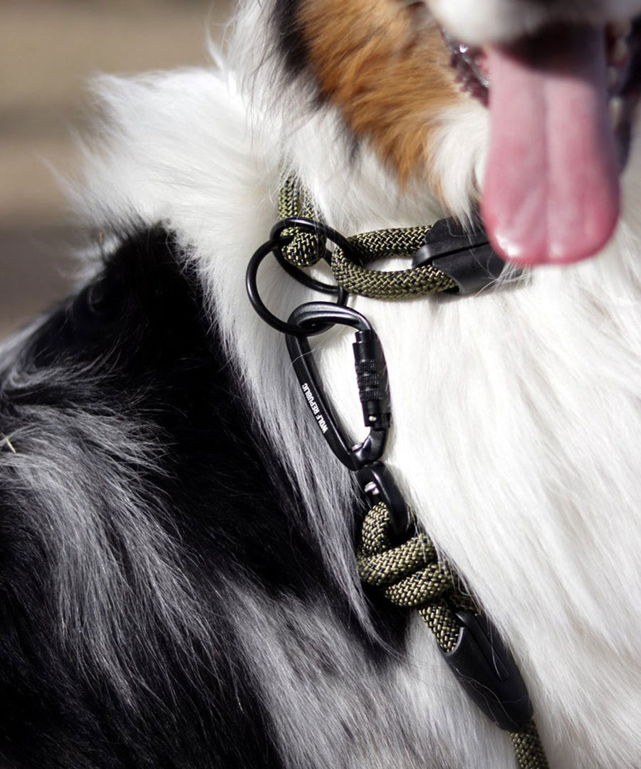 Alpine Slip Collar - Hunter Green – Wolf Republic