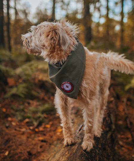 Embroidered Patch - Expedition Society – Wolf Republic