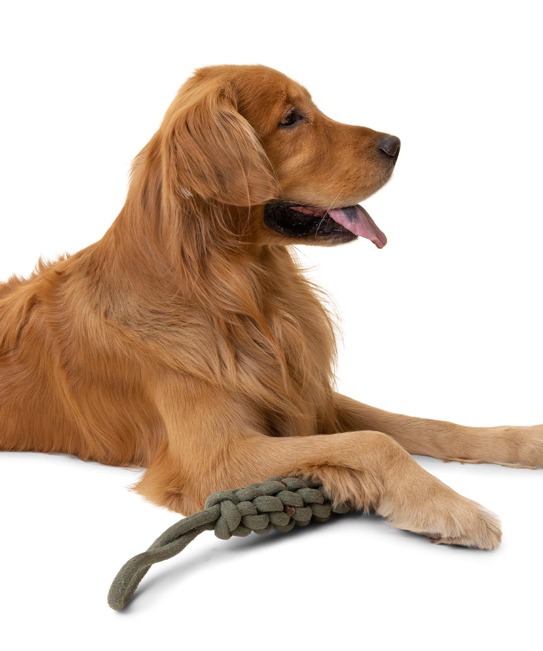 Rope Toss Toy – Wolf Republic