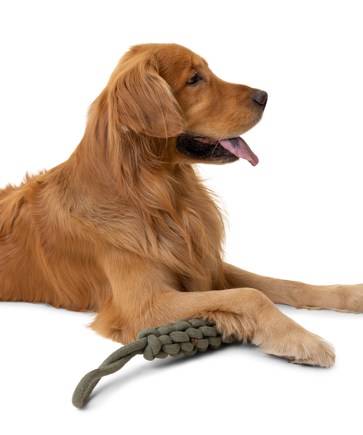 Rope Toss Toy – Wolf Republic